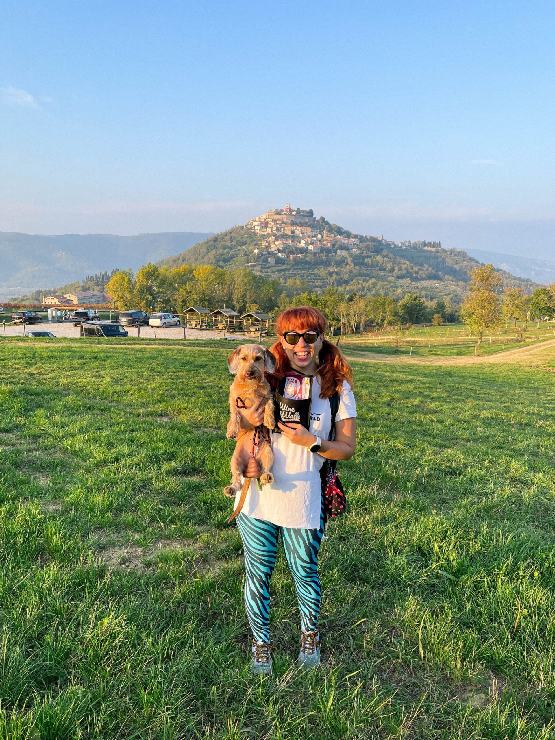 Motovun: na Teran Wine&Walku smo prohodali 12 km i popili 28 čaša ...