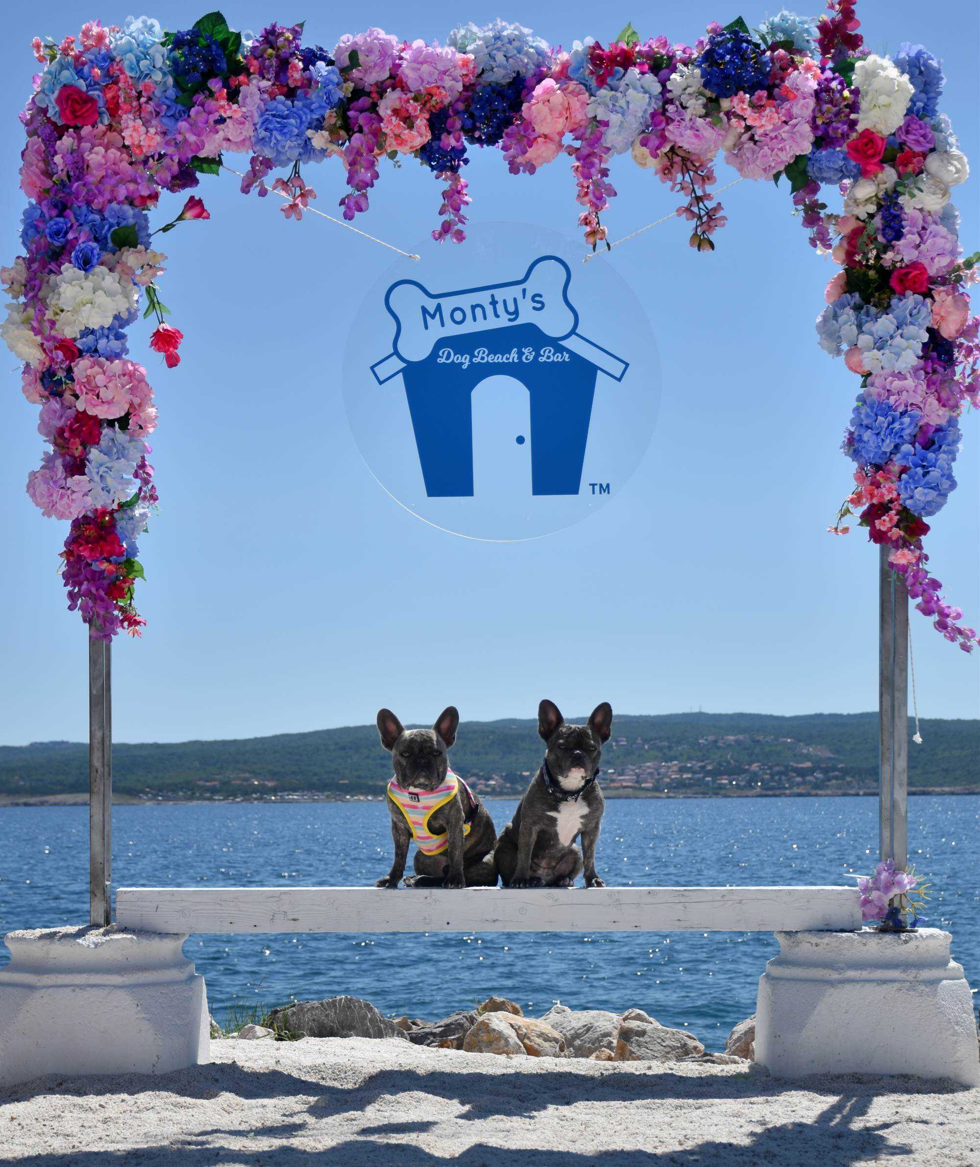 Monty’s Dog Beach: Pseće pivo, sladoled i Pawesome Summer Cinema za ...