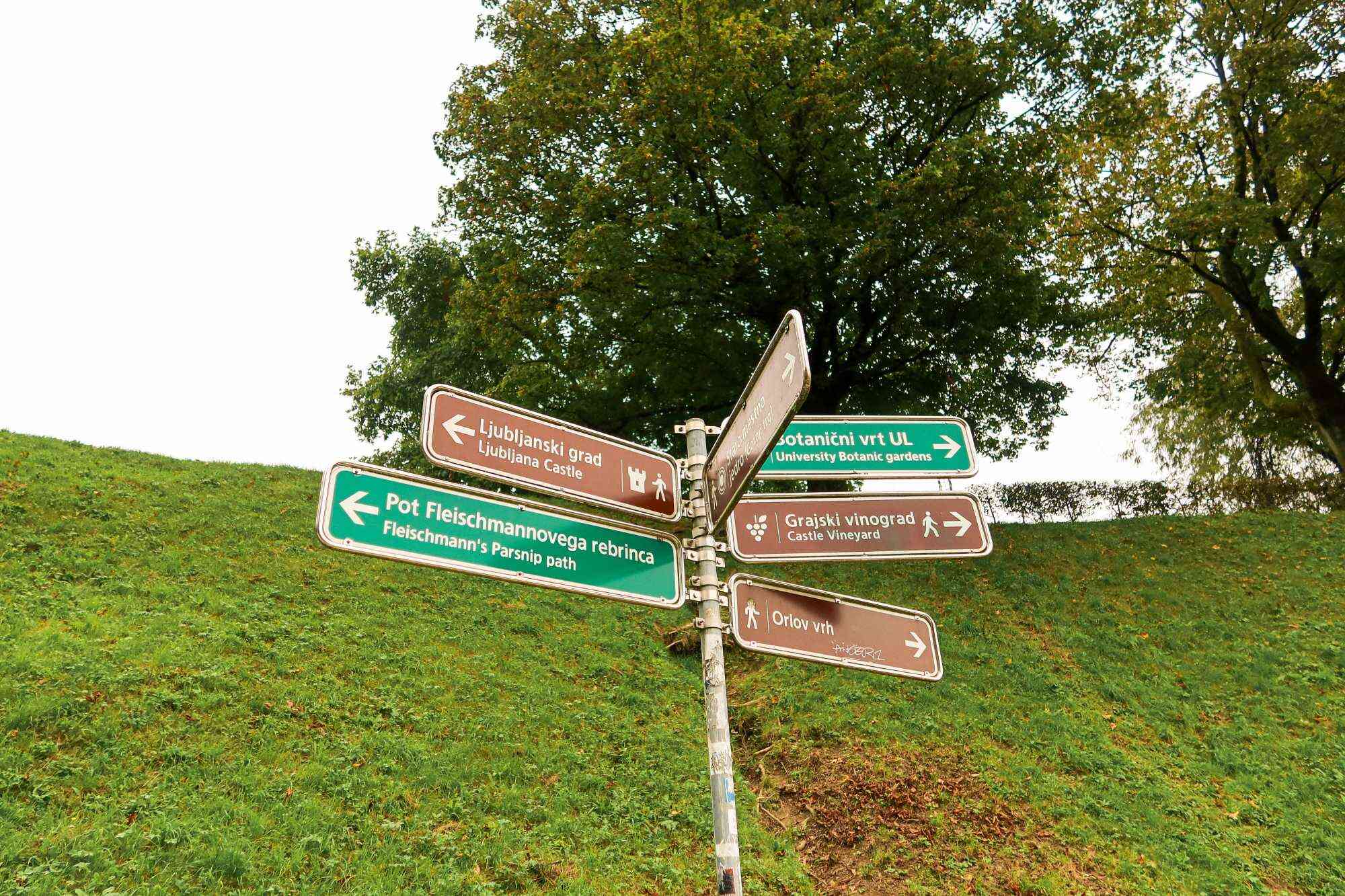 Ljubljana: što sve posjetiti i doživjeti u glavnom gradu Slovenije