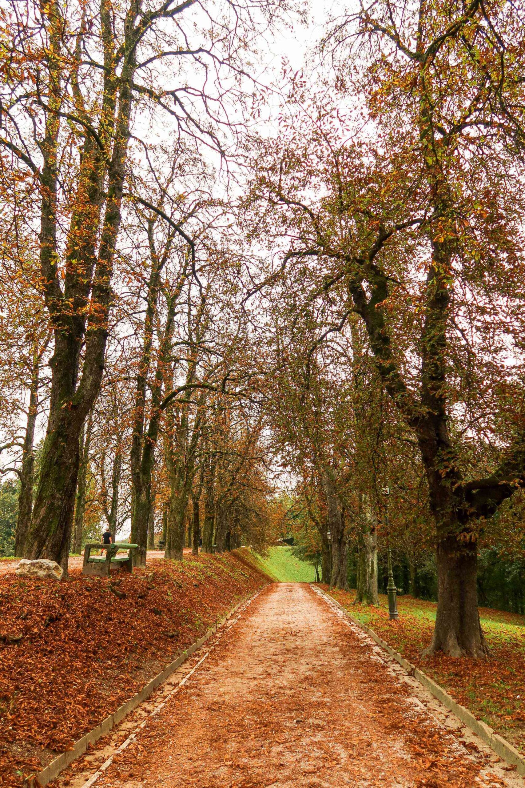 Ljubljana: što sve posjetiti i doživjeti u glavnom gradu Slovenije