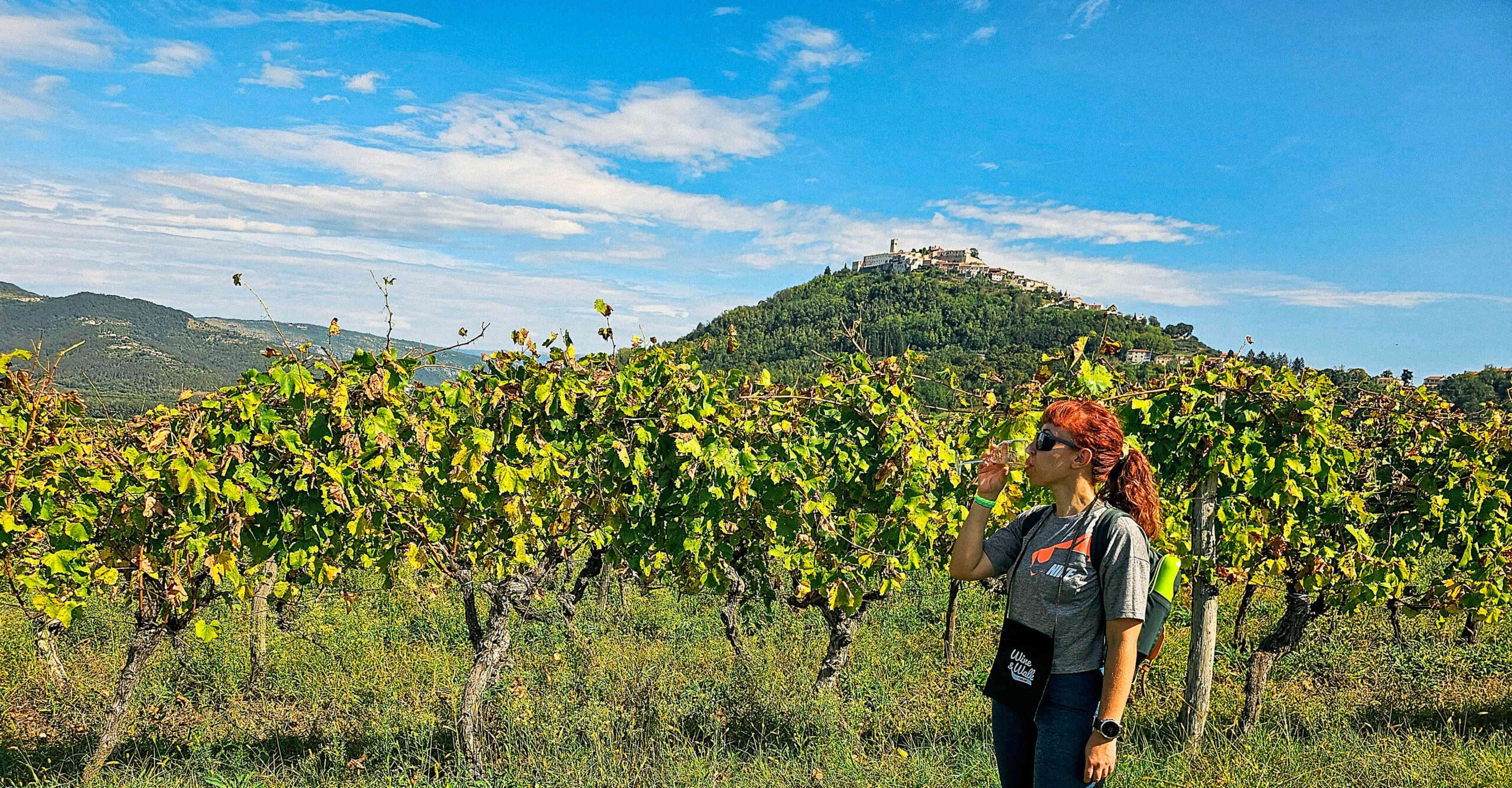 Teran Wine&Walk u Motovunu nas je i ove godine oduševio. Pili smo ...