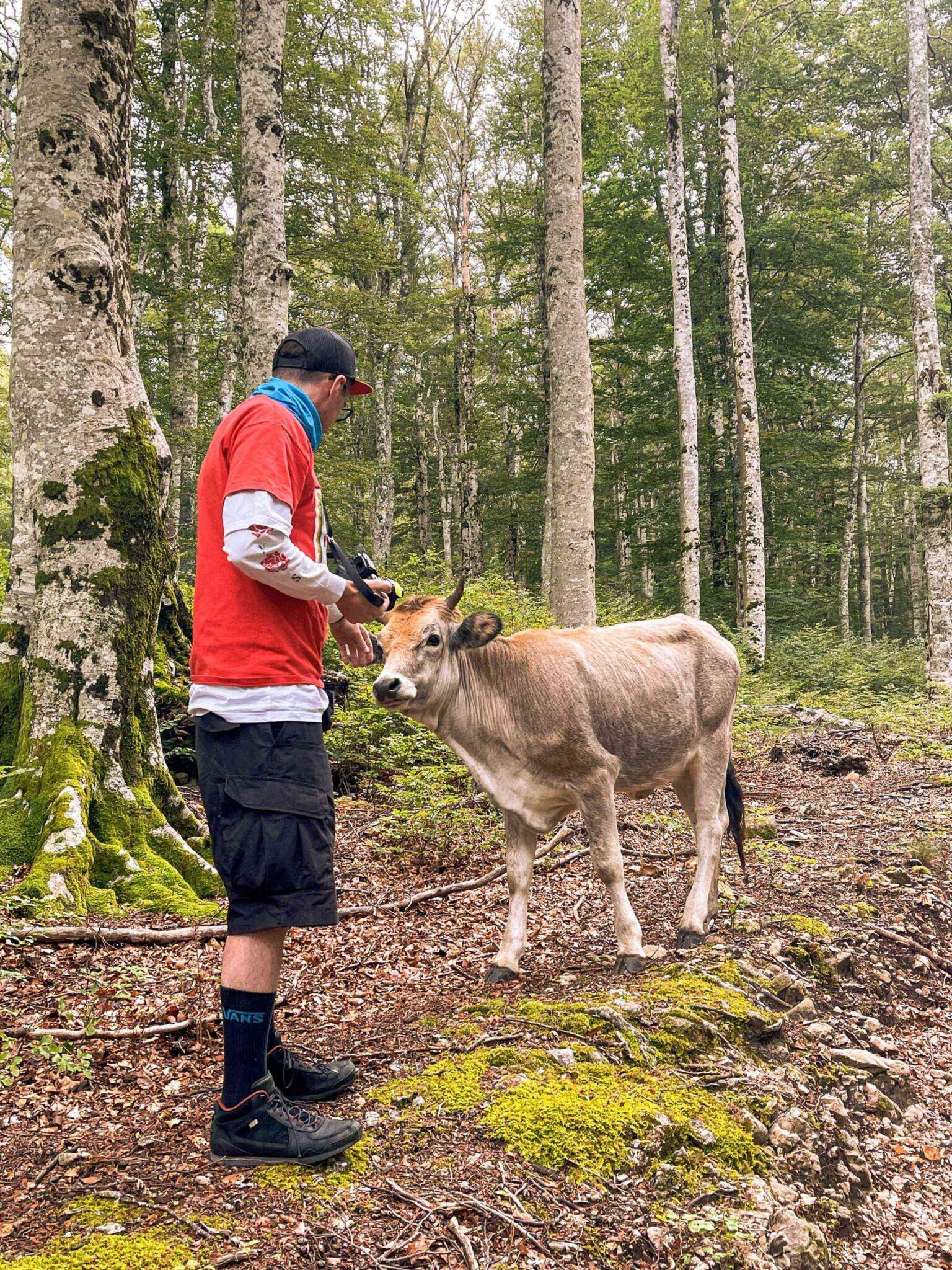 Park prirode Dinara: upoznaj ovu zaštićenu kršku ljepoticu