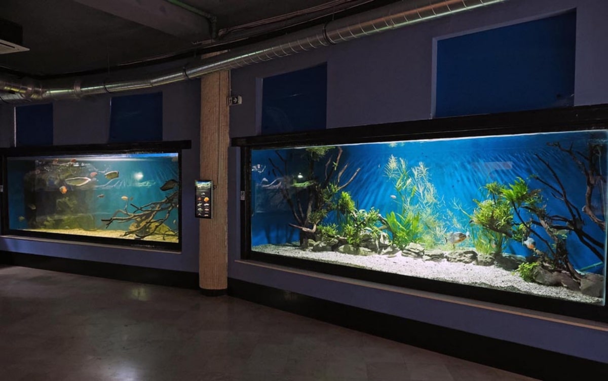 Otkrij podvodni svijet Pule: sve što trebaš znati o Akvariju u ...